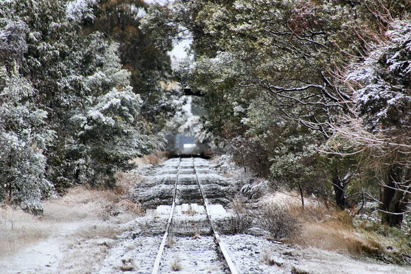 Biggest snowfall in decades | Stanthorpe Today