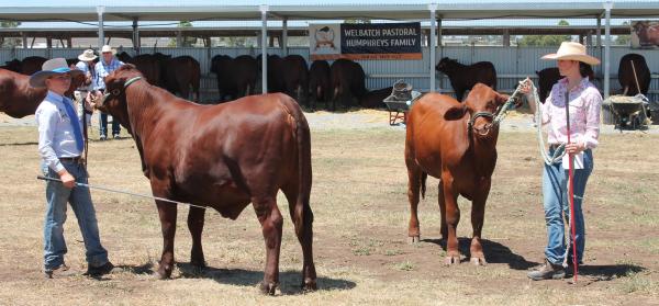 Alshow_227898_09.JPG | Stanthorpe Today