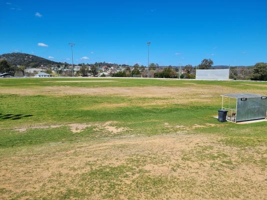 Stanthorpe Cricket appoints new team | Stanthorpe Today