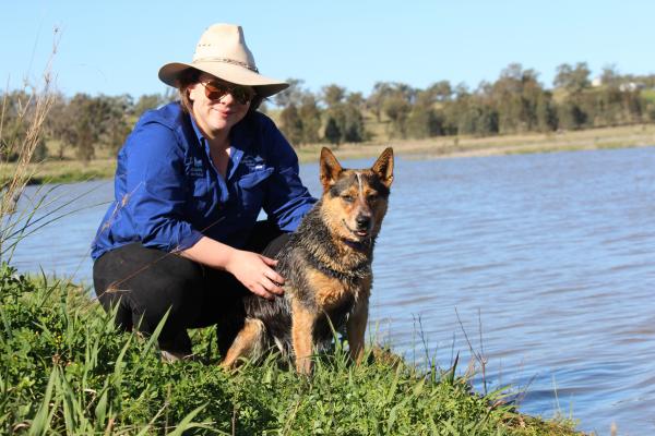 This week on the farm | Stanthorpe Today