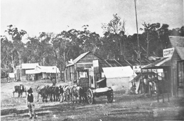 S1878_267701_03.PNG | Stanthorpe Today