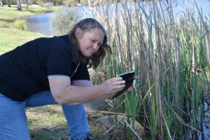 Local Photographer Wins with The Golden Pyramid | Stanthorpe Today