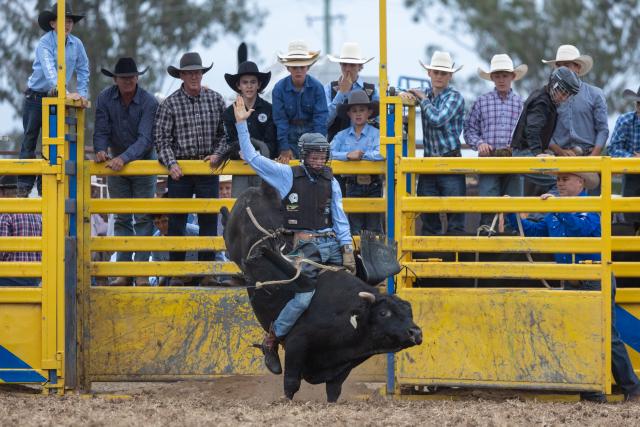 Set for big results | Stanthorpe Today