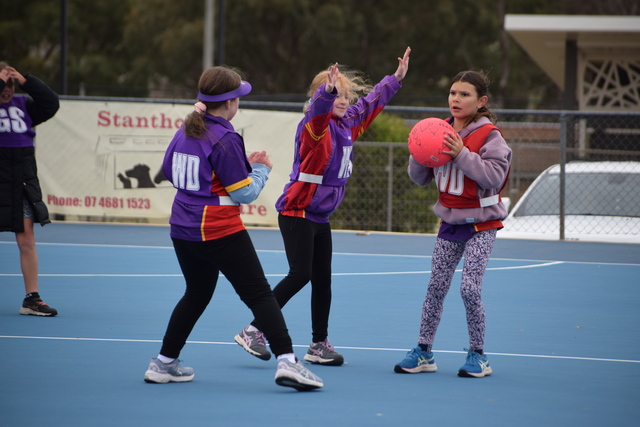 Great netball season for Stanthorpe | Stanthorpe Today