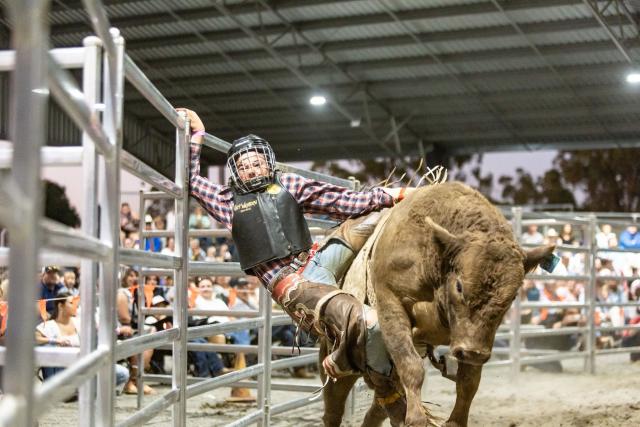 Don’t miss Friday rodeo | Stanthorpe Today