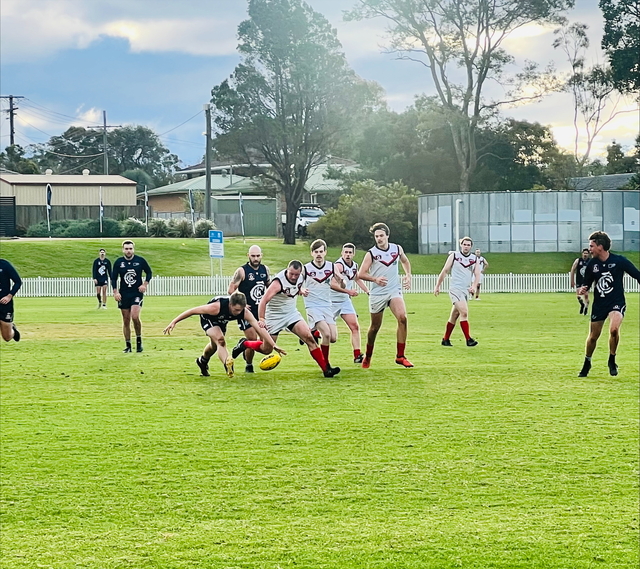 Learning curve for Redbacks | Stanthorpe Today