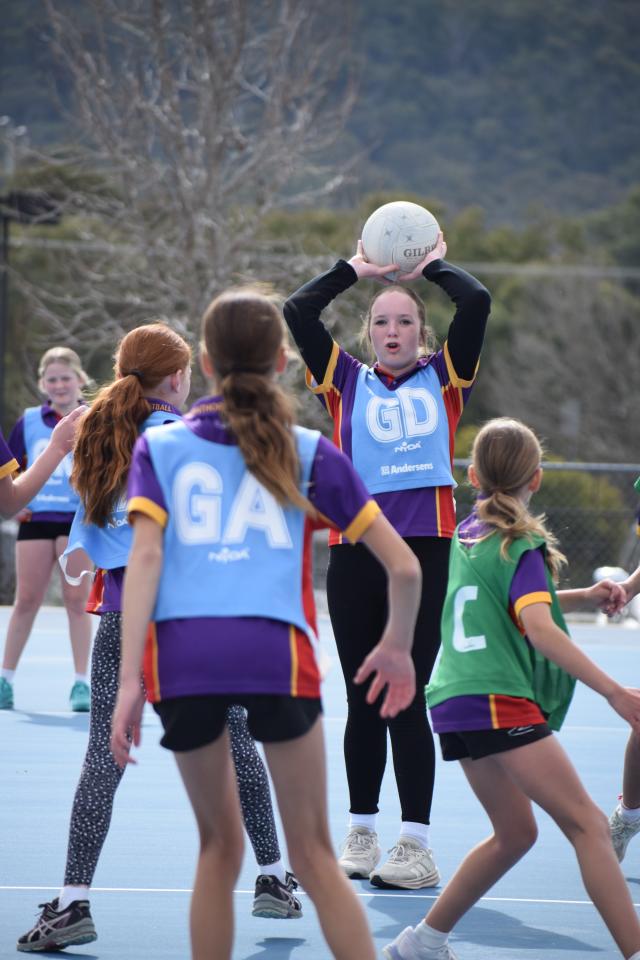 Stanthorpe netball continues to shine | Stanthorpe Today