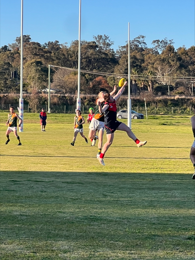 Donge’s last dance ends in Redbacks glory | Stanthorpe Today